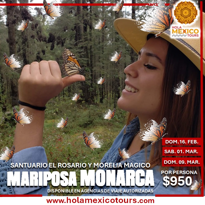 TOUR MARIPOSA MONARCA - HOLA MEXICO TOURS